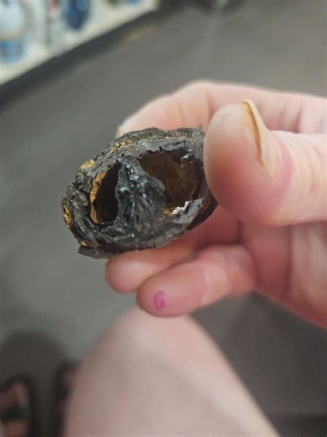 Could This Be A Fossilized Tooth Scrolller