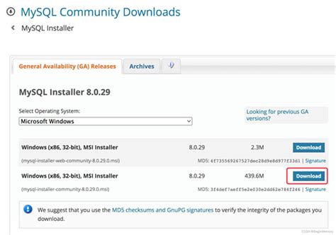 mysql community server 8 0 29安装配置方法图文教程 mysql 数据库 编程客栈