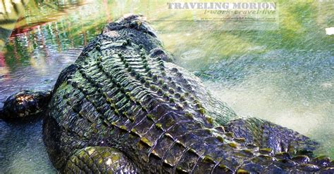 Traveling Morion Travel Photography Morions Phototravel Diaries