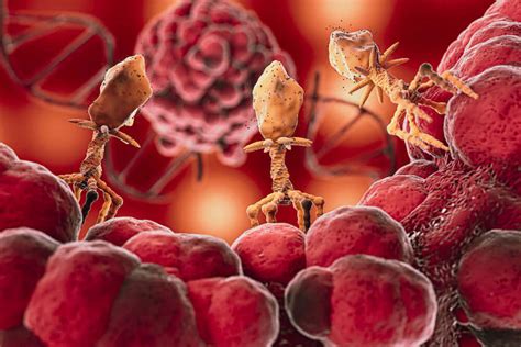 Understanding Tlc Normal Range And Importance Of Leucocyte Count