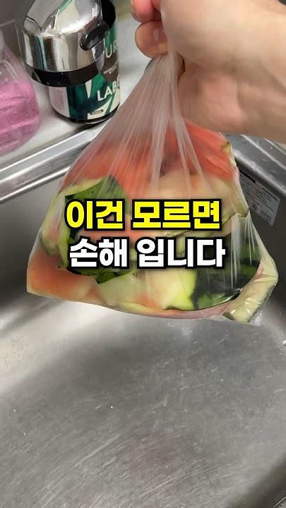 초파리 완벽 차단방법 Youtube