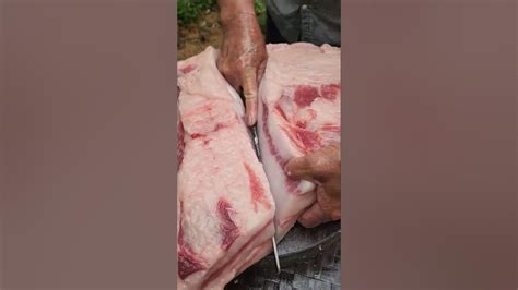 이 돼지고기 덩어리 금보다 더 비싸다 Youtube