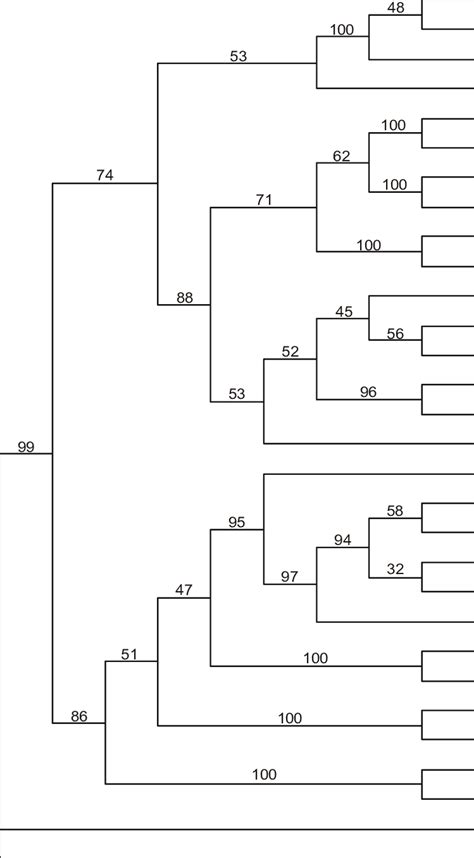 Bootstrap Tree Using Maximum Parsimony Numbers On The Nodes Represent Download Scientific