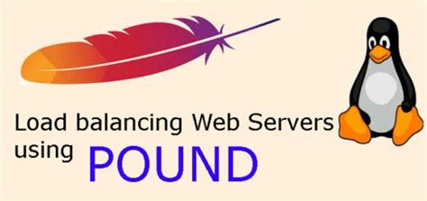 load balancing web servers using pound load balancer linuxtechlab