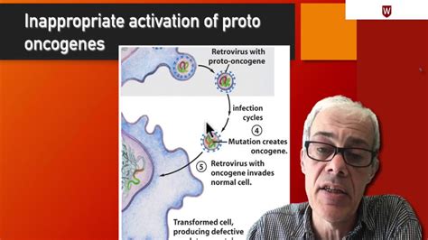 2 3 Many Oncogenes Have Human Origin Youtube