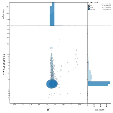 genome assembly of macropis europaea iymaceuro1 2 gc coverage