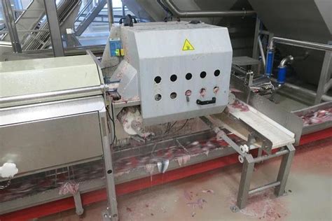 Used Baader Filleting Lines For Herrings And Mackarel For Sale In