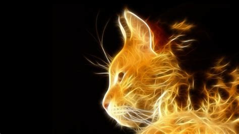 Кот неон - фото и картинки abrakadabra.fun
