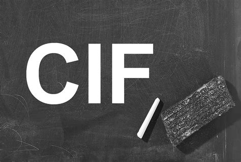 Cif Bilgincin Cif Bilgincin