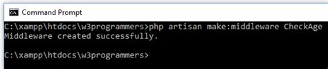 Laravel Middleware