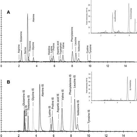representative uplc ms ms mrm chromatography of 20 amino acids a and