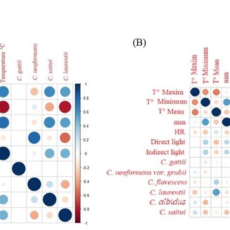 Yeasts Of The Genus Cryptococcus Obtained From Pigeon Droppings Tunja