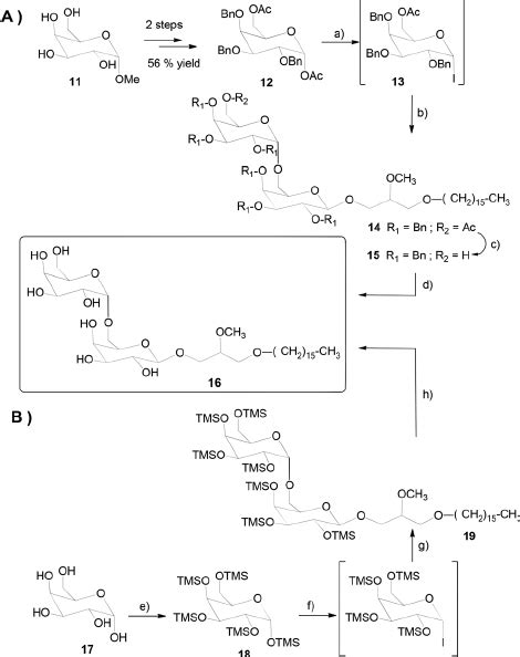 final steps for the synthesis of 16 following two di ff erent synthetic