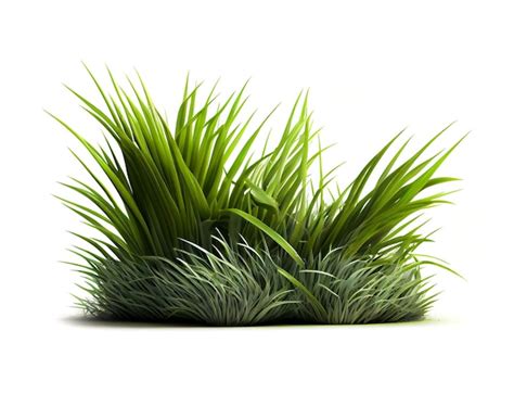 Premium Photo Green Grass On The White Background Created With