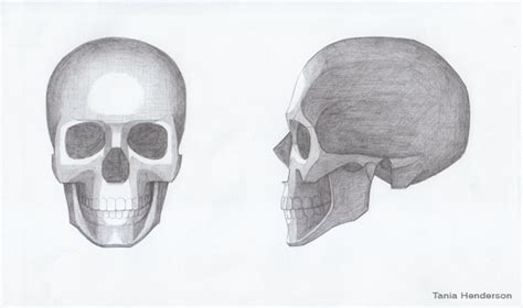 Draw Speak Shaded Skull