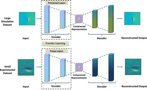 schematic representation of the autoencoder architecture and transfer