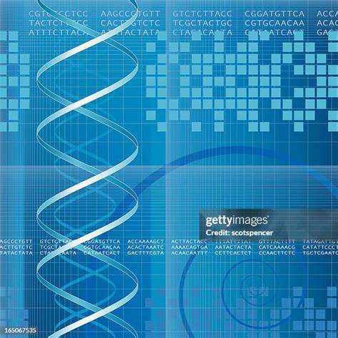 89 Dna Sequence Illustration High Res Illustrations Getty Images