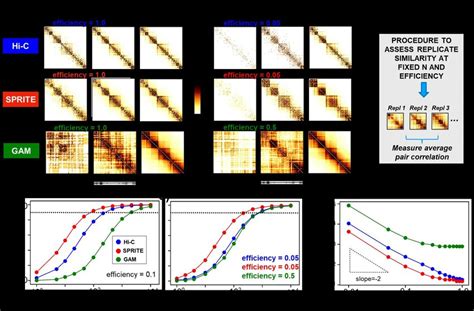 threshold cell number required for replicate reproducibility differs in