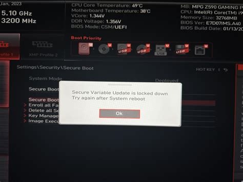 when i try putting secure boot in standard mode i get this pop up