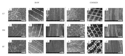 Foods | Free Full-Text | Role of Intramuscular Connective Tissue in Water Holding Capacity of ...