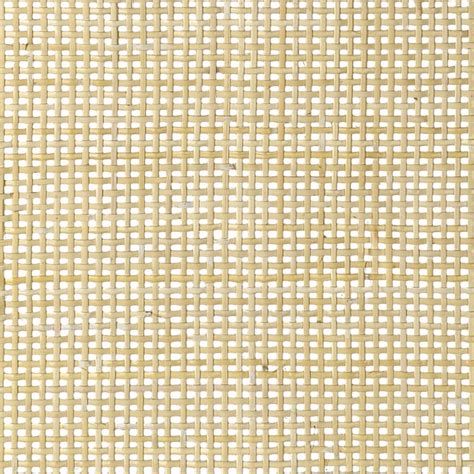 12 Texture Tre đan ý Tưởng Hình Vẽ Kiến Trúc Râu Tre