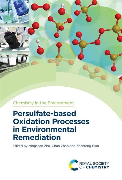 Persulfate Based Oxidation Processes In Environmental Remediation