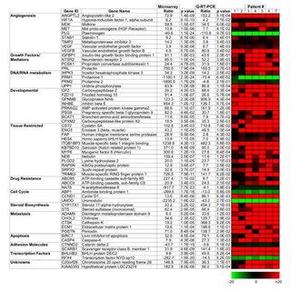 Validation Of Microarray Data For Selected Transcripts By Quantitative Download Scientific