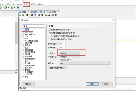 Oracle Sql Developer个性化（主题行号）oracle Sql Developer主题 Csdn博客