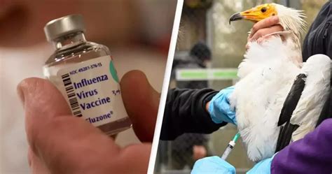 Most Dangerous Object On Earth Can Kill You In Two Days After Just Five Minutes Of Exposure