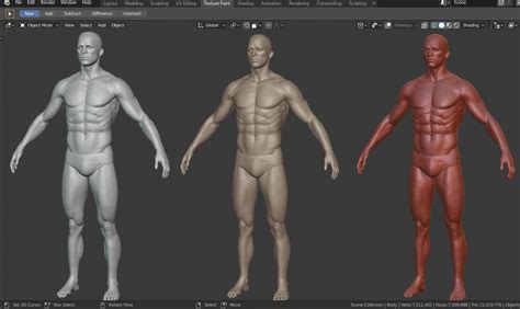 Male Base Mesh Blender Market