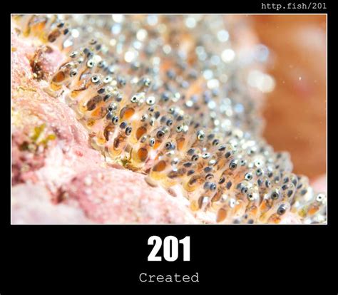 201 Created Status Code And Cats