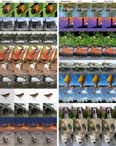 Sr Left ×8 Right ×16 Results On The Imagenet Deng Et Al 2009 Download Scientific