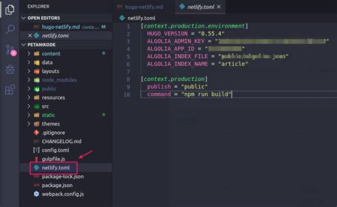 cara hosting hugo di netlify cepat tidak sampai 30 detik