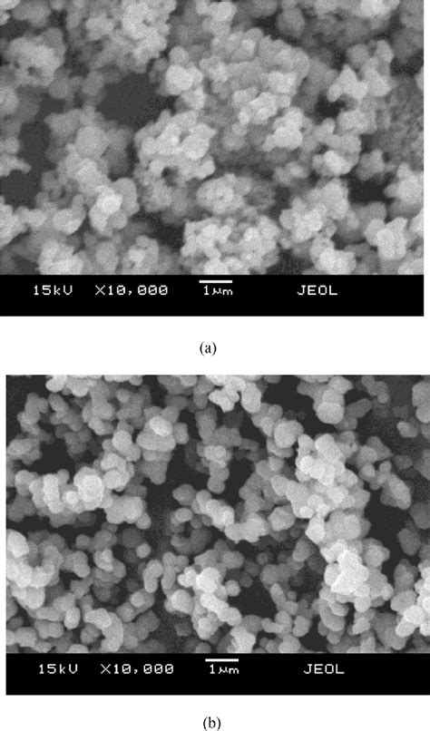 SEM Images A Conventionally Synthesized TiO 2 B TiO 2 Synthesized Download Scientific