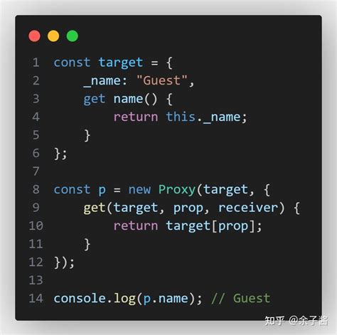 Proxy 的使用细节 知乎