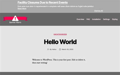 Style Samples And Visual Guide Banner Alerts Wordpress Plugin