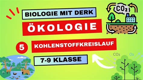 Ökologie 5 Kohlenstoffkreislauf 7 9 Klasse Youtube