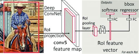 Fast R Cnn Joint Training Framework Structure [4] Download Scientific
