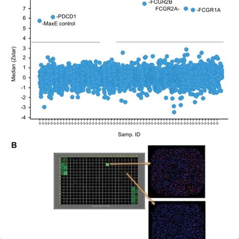 Membranome Cdna Library Protein Functional Classes Download Scientific Diagram