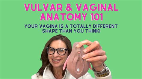Anatomy 101 Your Vagina Is A Different Shape Than You Think Youtube