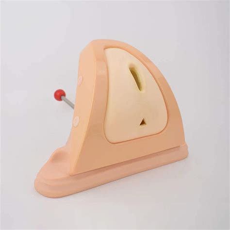 Buy Simulator Cutting And Suturing Of The Perineum Model Of Medical