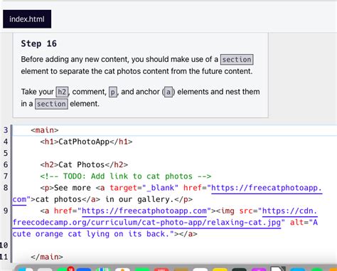 Learn Accessibility By Building A Quiz Step 17 Html Css The