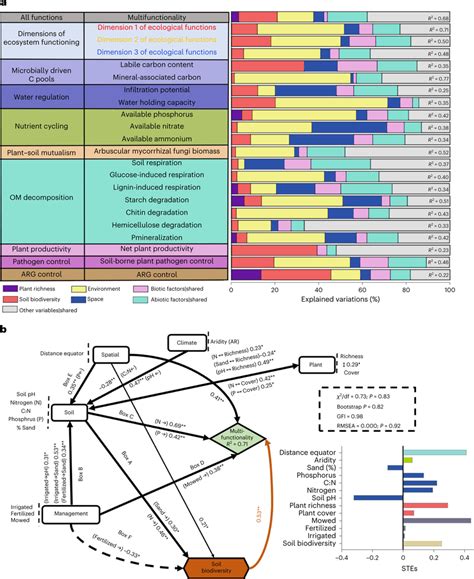 Contribution Of Soil Biodiversity To Ecosystem Functions In Urban
