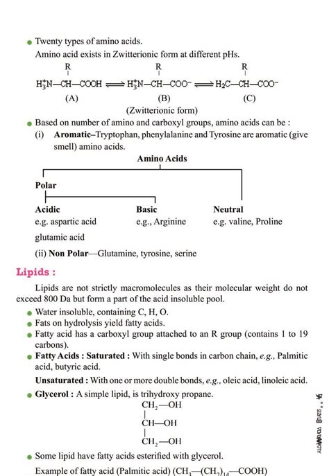 Biomolecules Class 11 Short Notes At Ina Rivas Blog