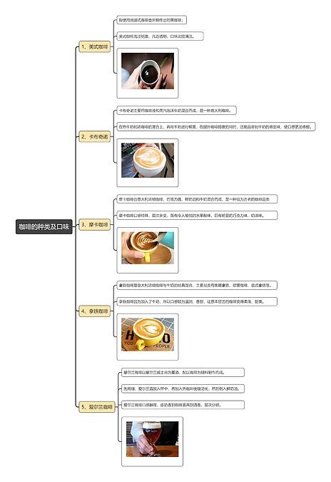 咖啡的种类及口味思维导图 编号t3498960 Treemind树图
