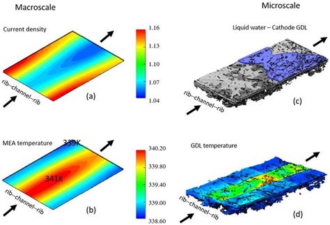 Predictions Of Distributions For Both Macroscale And Microscale