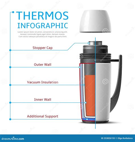 Realistic Thermos Structure Infographic Vector Illustration CartoonDealer Com