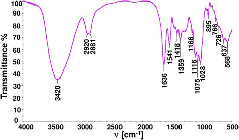 deeper insight into the properties of the newly synthesized macrocycles