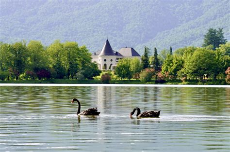 ბადაგონი • Badagoni იცოდით რომ ღვინის ფერზე დაკვირვებით შეგვიძლია ვიმსჯელოთ მისი წარმოშობის