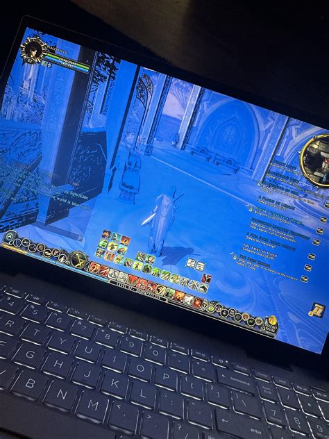 Blue Screen When Logging Into The Game In The Last Homely House Rlotro